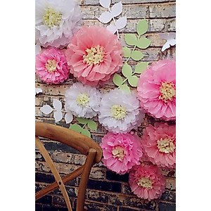 Fonder Mols Tissue Paper Chrysanth Flowers with Butterfly and Olive Leaves for Wedding Baby Shower Nursery Room Parties & Events Decorations Pom Poms (Set of 21, White Pink)