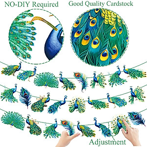 Peacock Party Banner Peacock Birthday Party Decorations Peacock Cutout Banner Peacock Birthday Party Supplies for Zoo Bird Theme Baby Shower Supplies