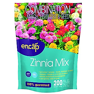 Encap 10806-6 Zinnia Cut Flower Mix, 2 Pounds