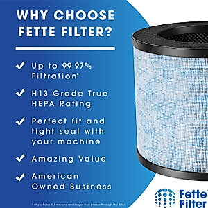 Fette Filter - F100 H13 Premium True HEPA Replacement Filter, Compatible with Instant AP100 Air Purifier, 3-in-1 H13 Grade True HEPA Filter, Part # F100, 2-Pack
