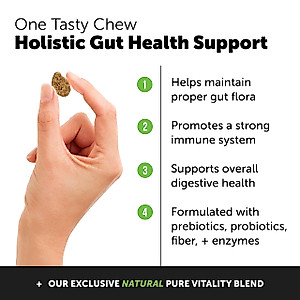 PetHonesty Digestive Probiotics for Dogs + Allergy Support Soft Chew Supplement Bundle - Probiotics, Digestive Enzymes, Salmon Oil and Omega 3 Fish Oil, Itch Relief for Dogs, Coat and Skin Health