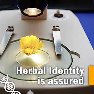 Herb Pharm Urinary System Support Liquid Herbal Formula, 1 Fl Oz