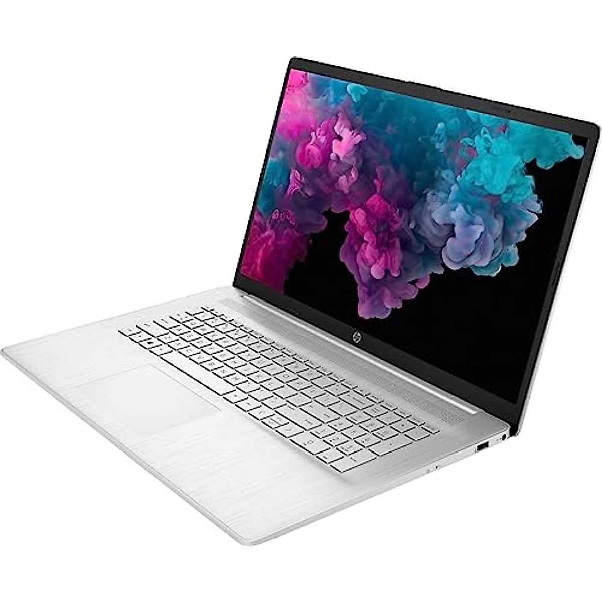 HP 17.3 Inch Business Laptop, 11th Gen Intel Core i3-1125G4, Windows 11 Pro, 16GB RAM, 1TB SSD, HDMI, Wi-Fi, Bluetooth, Webcam, Natural Silver, PCM