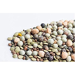 Rainbow Bean Mix Sprouting Seeds, Adzuki, Garbanzo, Green Pea, & Lentil, 40+ Heirloom Seeds in Mixture Per Packet, Non GMO Seeds, (Isla's Garden Seeds), Botanical Name: Phaseolus vulgaris