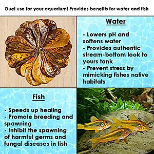 SunGrow Saver Bundle Pack - Catappa Leaves 10Pcs/Pack + Large Leaf Hammock