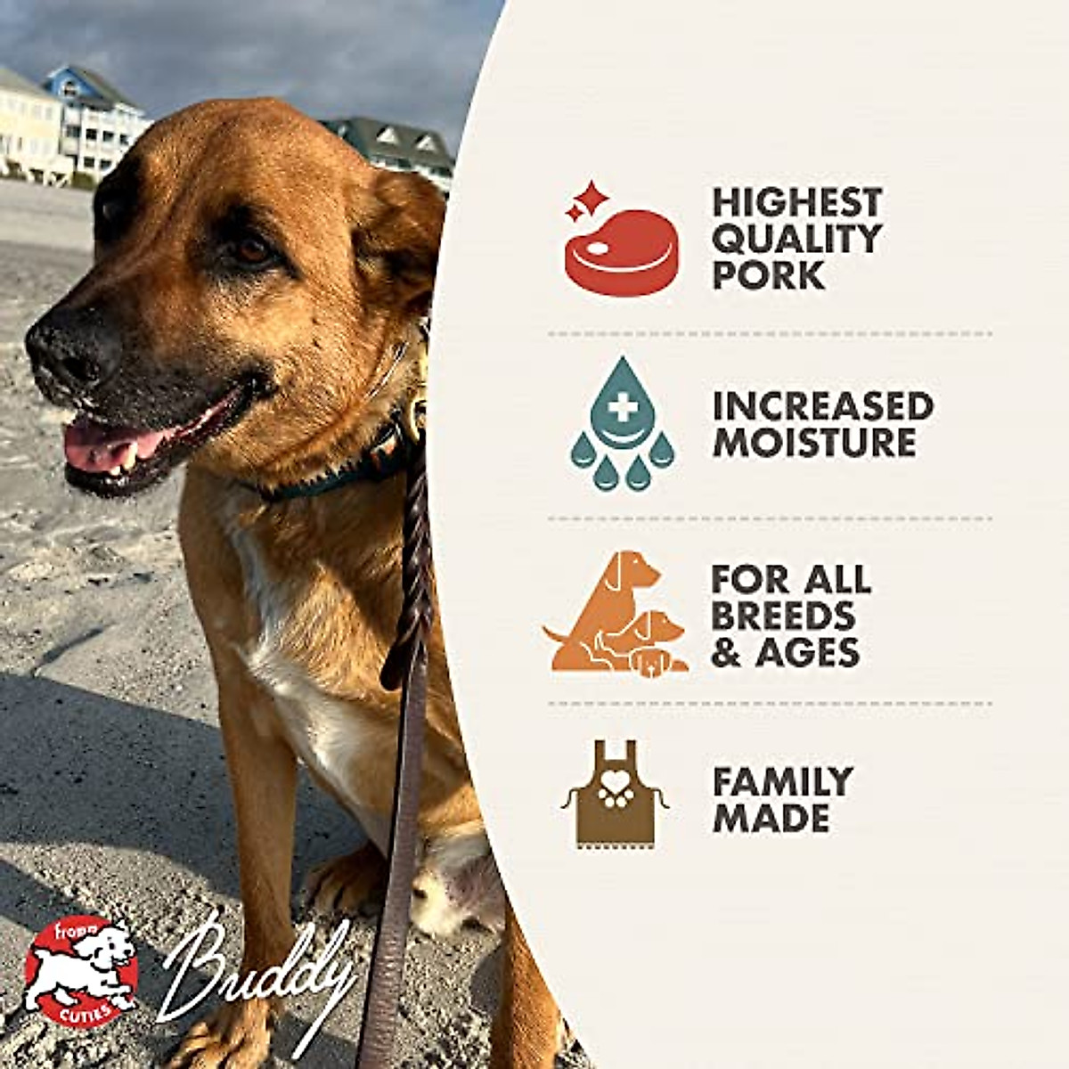 Fromm Four-Star Nutritionals Shredded Pork in Gravy Entrée Dog Food - Premium Wet Dog Food - Pork Recipe - Case of (12) 12 oz Cans