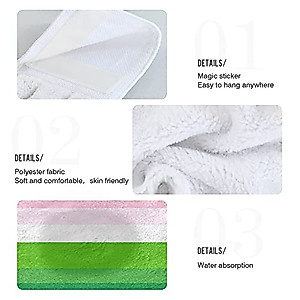 DIGTIA Summer Watermelon Kitchen Hand Towels Set of 2 Tropical Fruit Red Hanging Towels with Loop Fingertips Soft Absorbent Microfiber Tie Towel for Bathroom Laundry Farmhouse