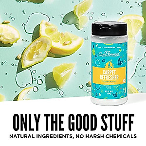 Aunt Fannie's Cat Carpet Refresher, Odor Neutralizing Powder for Homes with Cats, Kittens and Other Pets, Bright Lemon Scent, 16 Ounce (Pack of 1)