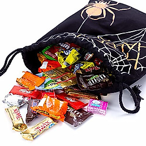 Halloween Trick or Treat Candy Bag | Washable Canvas Tote Bag | Drawstring Bag for Halloween Candy | Spider