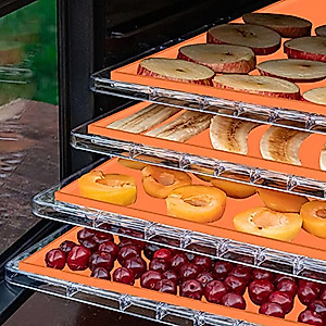 6PCS Silicone Dehydrator Sheets with Edge, Dehydrator Trays with Silicone Pot/Scraper High Temperature Resistance Reusable Silicone Trays Compatible with Cosori CP267-FD for Fruits Herbs Meat Vegetables