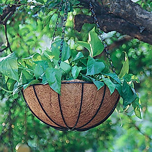 EIMQUVW Metal Hanging Planters Basket Set of 4 Hanging Flower Pots 10 Inch Chain Round Wire Plant Holder with Coco Coir Liner Garden Watering Hanging Baskets for Patio Garden Outdoor1
