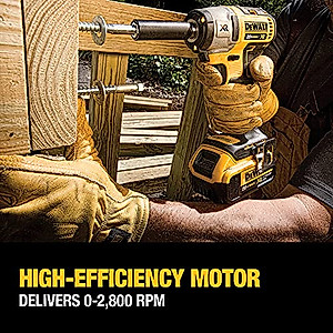 DEWALT 20V MAX XR Cordless Impact Wrench Kit with Hog Ring, 3/8-Inch (DCF890M2)