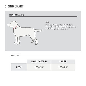 Carhartt Nylon Duck Dog Collar, Fully Adjustable Durable 2-Ply Cordura Nylon Canvas Collars for Dogs, Brite Lime, Large