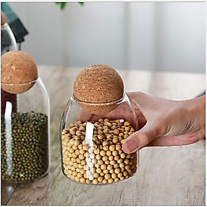 Piscepio Glass Jar with Wood Lid Ball Jar Small Food Storage Container Clear Candy Jars Canister Sugar Coffee Tea Beans Spice Salt Storage 2 PSC 500 ML