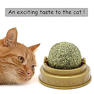 2 pcs Catnip Balls, Pure Natural Mint Leaf Rotating Interactive Cat Toys, Cat Removal Hairball Toys Can Be Sticky On Wall, Teeth Cleaning Catmint Toy for Cat, Kitten, Kitty Playing Chewing
