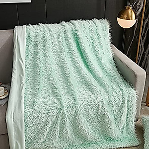 WERDIM Plush Faux Fur Throw Blanket Aqua - Luxury Soft Fluffy Fuzzy Sherpa Velvet Throw Blankets for Couch Sofa Bed, 50x70 inches