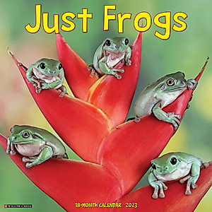 Just Frogs 2023 Wall Calendar
