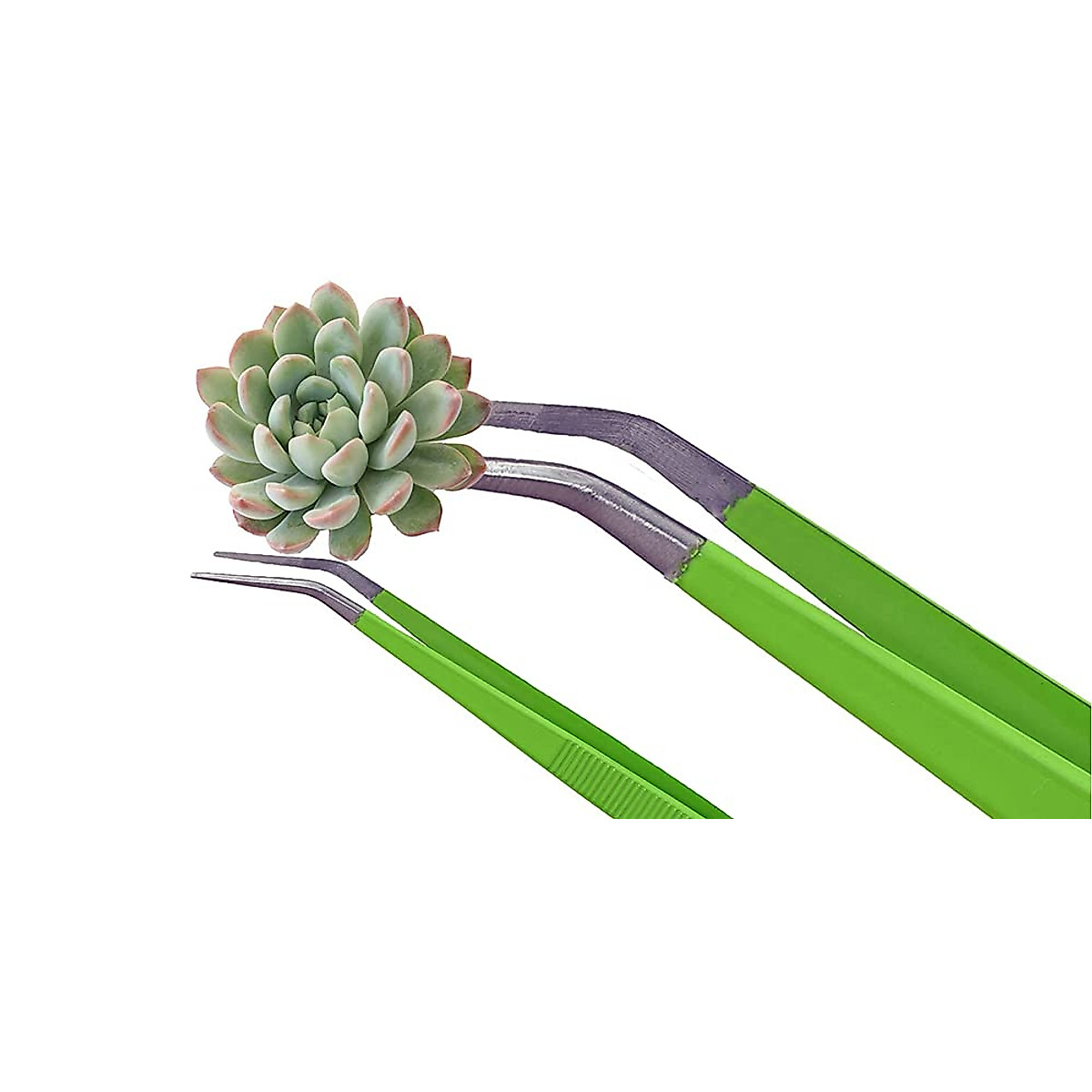 Tweezers For Succulents Duo