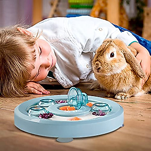 Antidious Interactive Pet Treat Game Rabbit Toys,Ferrets Toys, Slow Feeder Function Benefit for Digestion, Keep pet's Mind Active and Alert,Blue
