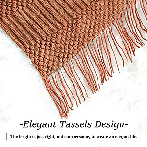 Blagic Knitted Throw Blanket for Couch Soft Farmhouse Boho Fall Throw Blanket with Tassels Home Decorative Lightweight Throw Blankets,Rust Throws for Bed/Chair/Sofa, Pineapple Textured, 50" W x 60" L