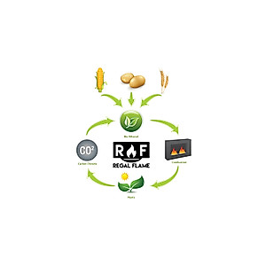 Regal Flame Elite Bio Ethanol Fireplace Fuel 6 Pack - Indoor/Outdoor