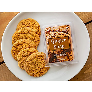 Ginger Snap - Crisp Ginger Cookie Scented Melt- Maximum Scent Wax Cubes/Melts- 1 Pack -2 Ounces- 6 Cubes Gift for Women, Men, BFF, Friend, Wife, Mom, Birthday, Sister, Daughter, Long Lasting Wax Tart