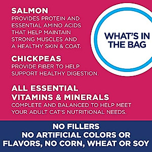 Natural Balance Limited Ingredient Diet Salmon & Chickpea Indoor Adult Cat Grain-Free Dry Cat Food 10-lb. Bag