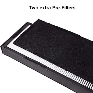 BBT BAMBOOST Filter B Replacement Fit for Germguardian Air Purifier FLT4825 Filter-b Models AC4825 AC4300 AC4800 AC4900,AP2200CA,BXAP148(2pcs HEPA True Filters and 4 Pieces Carbon Filters)