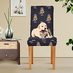 JUNZAN Color Avocado Skateboard Sneakers on Grey Chair Slip Cover 2Pcs Patio Chair Cover Strech Spandex Chair Covers for Parsons Living Room Chair