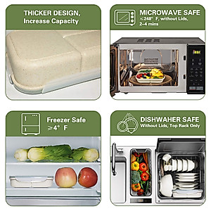 LAIDIAN Bento Box Kids Lunch Box 3 Compartment Bento Box for Adults with Fork Leak-Proof Durable Containers for On-the-Go Meal Food-Safe Materials (Green)