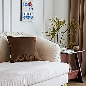 ECOGEOUS Decorative Pillows for Bed,Decor Pillow for Livingroom, Decorative Pillow for Couch,18"x18" in Chocolate Brown,Pack of 2