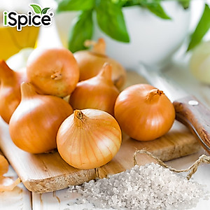 iSpice ONION SALT & SEASONING | A fast cooking fix for any recipe | 12oz (340g)