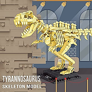 Meryi Dinosaur Fossil Building Kit 523pcs, T.rex Impressive Dinosaur Skeleton Model Decoration, Cool Dinosaur Gift Toy Set for Dinosaur Fans, Great DIY Project for Ages 6+