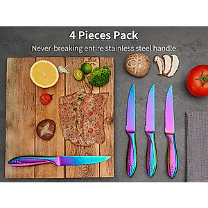 Rainbow Serrated Steak Knife 4 Piece Set, German High Carton Stainless Steel Blade for Home Restaurant