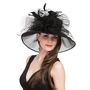 Saferin Womens Church Dress Kentucky Derby Wedding Veil Floral Tea Party Hat Black Feather Mesh Flower Free size