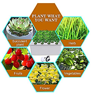 Homend Indoor Hydroponic Grow Kit with Bubble Stone, 11 Sites (Holes) Bucket, Air Pump, Sponges - Best Indoor Herb Garden - Grow Fast at Home