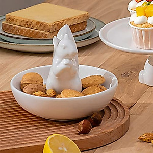 LA JOLIE MUSE Nut Bowl Snack Serving Dish - Ceramic Squirrel Candy Jewelry Dish for Pistachio Peanuts, House Warming Hostess Gifts