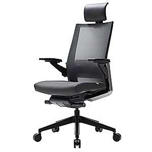 SIDIZ T80 Ergonomic Home Office Chair : German Mechanism for Extreme Comfort, Adjustable Headrest and Lumbar Support, 3-Way Armrests, Forward Tilt Adjustment, Adjustable Seat Depth, Mesh Back (Black)