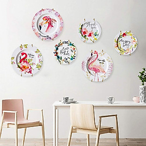 SOSPIRO 10 Pack Stainless Steel Plate Hangers for Walls Compatible Decorative Plates Hooks Dish Diaplay Holder with 10 PCS Wall Hooks (8 Inch)