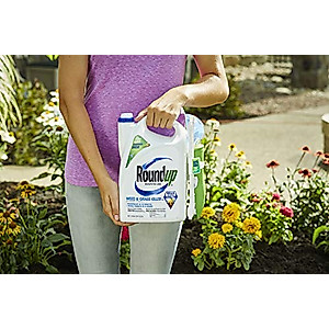 Roundup Ready-To-Use Weed & Grass Killer III -- with Sure Shot Wand, Use in & Around Vegetable Gardens, Tree Rings, Flower Beds, Patios & More, Kills to the Root, 1.33 gal.