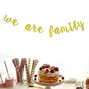 Gold Glitter We are Family Banner, Family Reunion Party Banner, Family Photo Prop, Banner for Family Party Home Decoration - We are Family