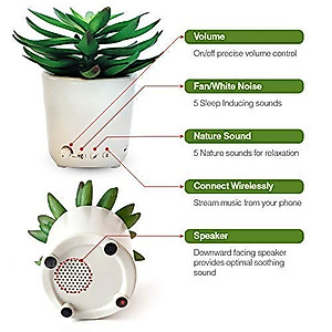 Sleep Plant - Sound Machine - Fan Sounds - White Noise - Nature Sounds
