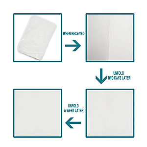 KXO Cushioned Anti-Fatigue Kitchen Mat, Flowers Dandelion Leaves Dahlia Daisy Plant Illustration Super Soft Floor Mat, Non-Slip Comfort Standing Mat Doormat for Home, Sink, Office 31"x20"