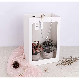 sdoot Gift Bags, Gift Bags with Transparent Window, 10pcs Tote Paper Bags, 7.9''×5.9''×11.8'' White Gift Bags with Handles Bulk, Wedding Party Bags