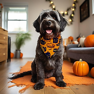 Raisingwell Halloween Dog Bandanas 2 Pack Bat Pumpkin Pattern Dog Bibs Reversible Washable Durable Fall Dog Scarf Suitable for Small to X- Large Breed Dog Boy and Girl (Large)