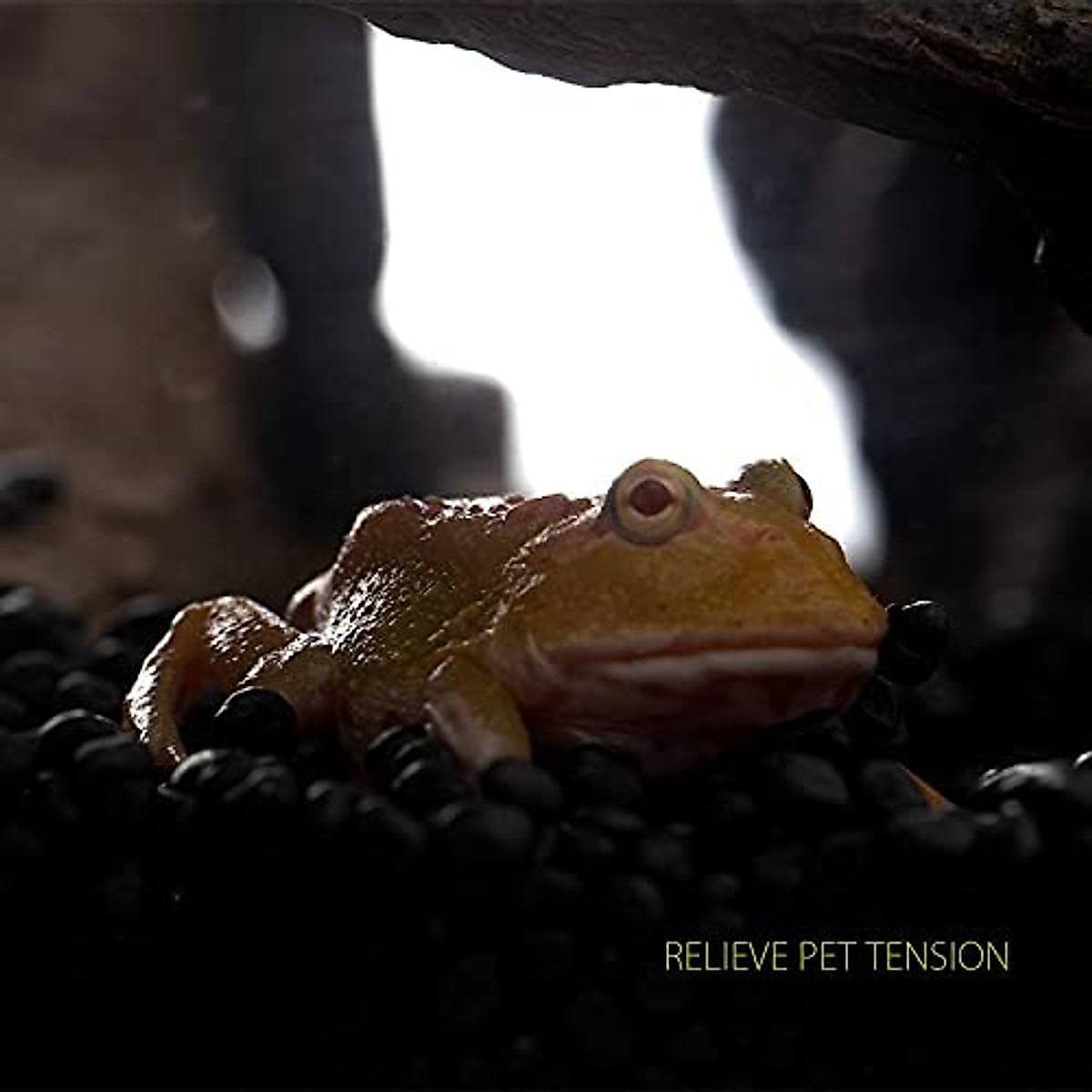 RunXF Reptile Simulation Rock Hideouts Cave Amphibian Hides Resin Habitat Decor Shelter for Gecko Leopard Lizards Toad Turtle (Small),grey