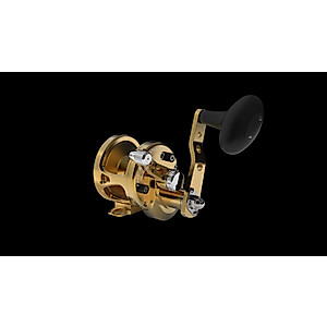 Avet Reels SX 5.3 G2NGP RH-GD G2 Series SX 5.3 RH (Gold)