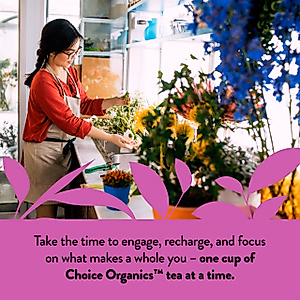 Choice Organics - Organic Darjeeling Tea (6 Pack) - Fair Trade - Compostable - Contains Caffeine - 96 Organic Black Tea Bags