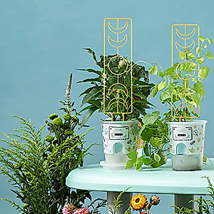 2 Pack Large Moon Phase Plant Trellis, 17.32 Inches Gold Metal Plant Trellis for Garden Indoor Climbing Plants, Climbing Plant Support for Potted Plants Houseplant Monstera Plant Ivy Vine
