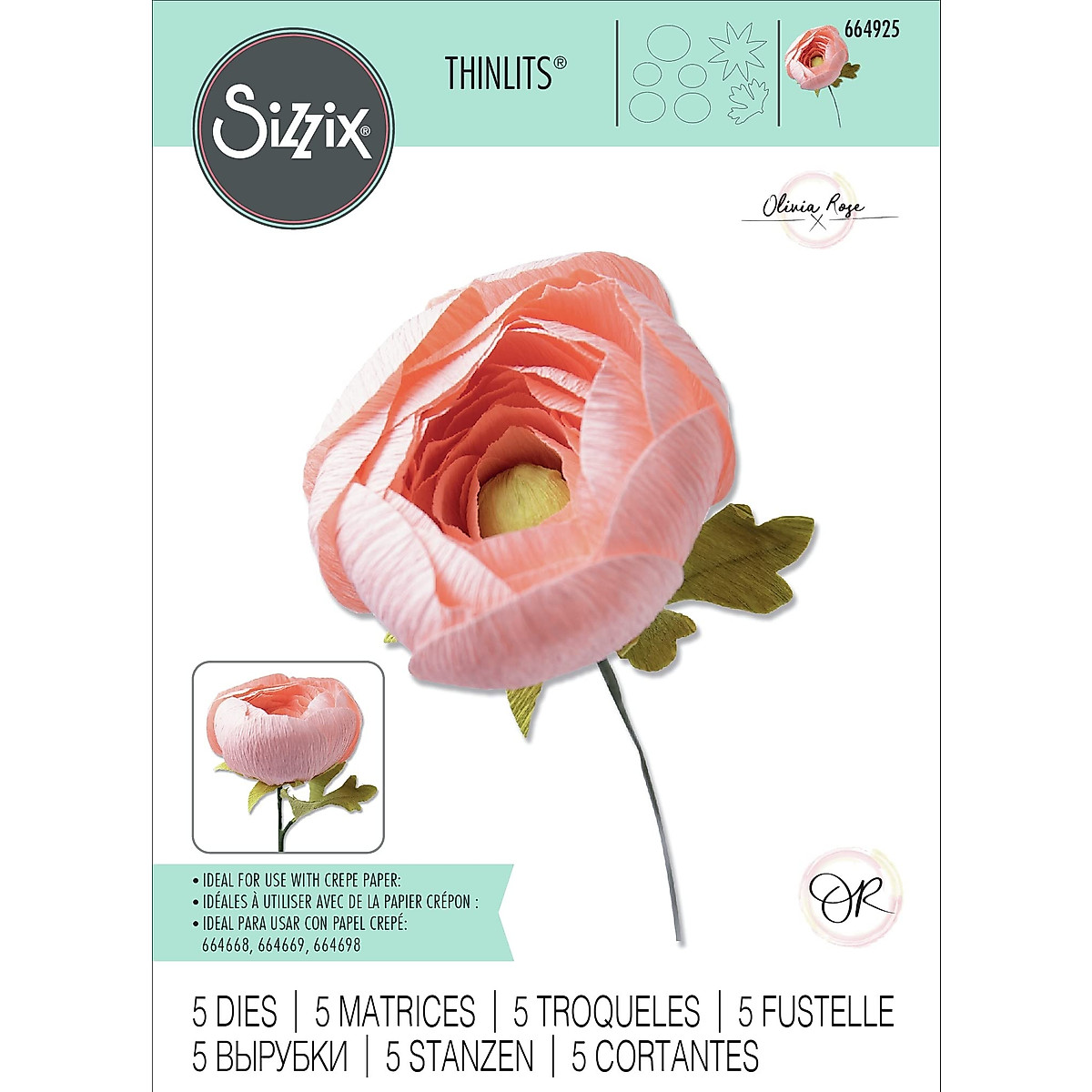 Sizzix Thinlits Die Set 5PK Ranunculus by Olivia Rose, 664925, One Size, Multicolor